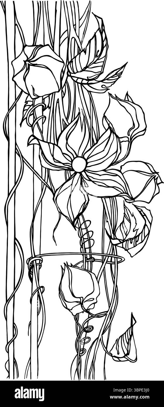 Lantern plant illustration Cut Out Stock Images & Pictures - Alamy