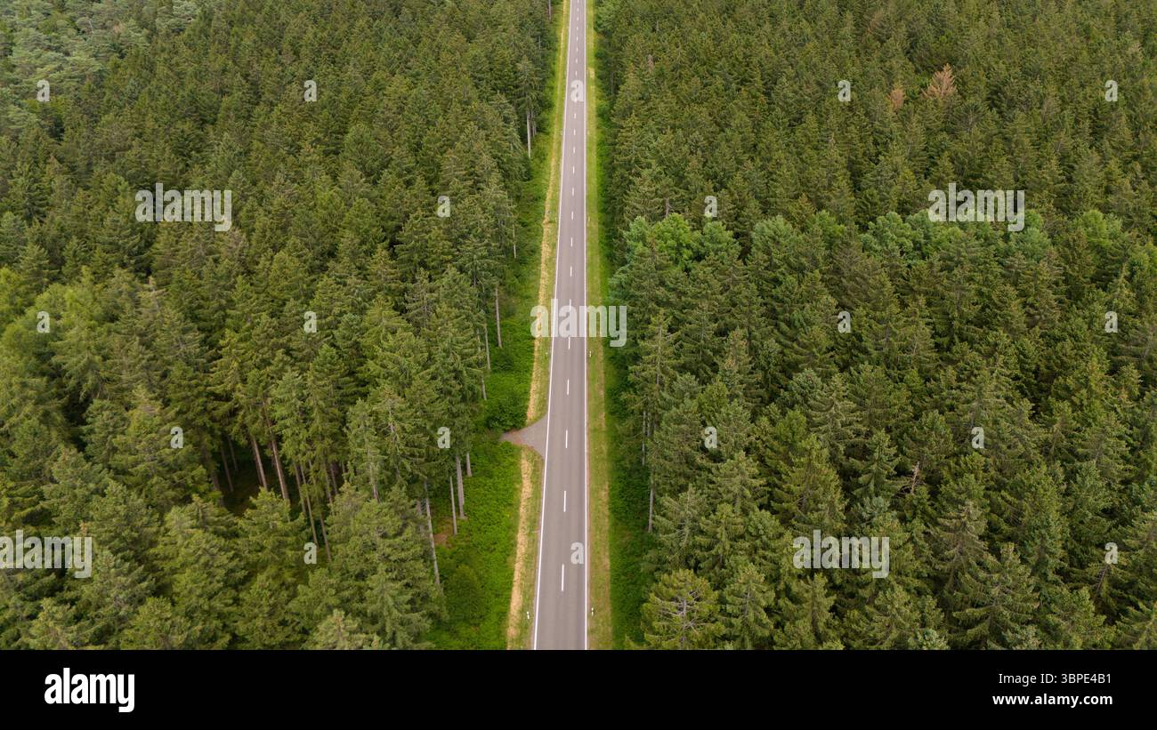Road through forest, aerial view, evergreen conifer trees, climate ...