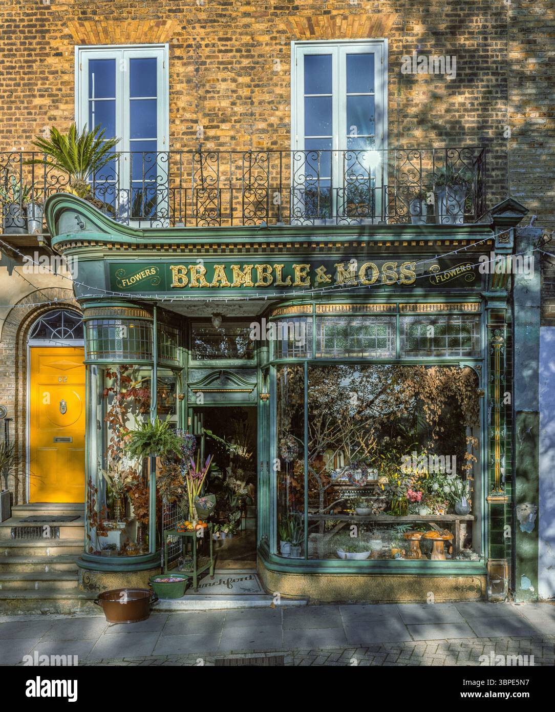 The exterior moss rose hi-res stock photography and images - Alamy