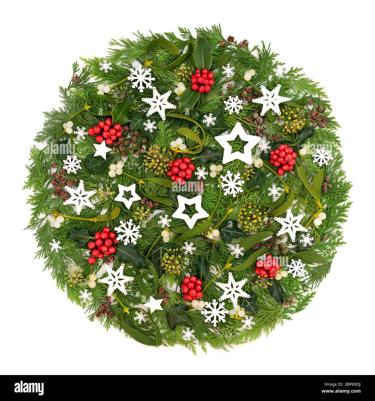 Christmas winter holly berry, mistletoe, ivy, cedar fir, pinecone ...