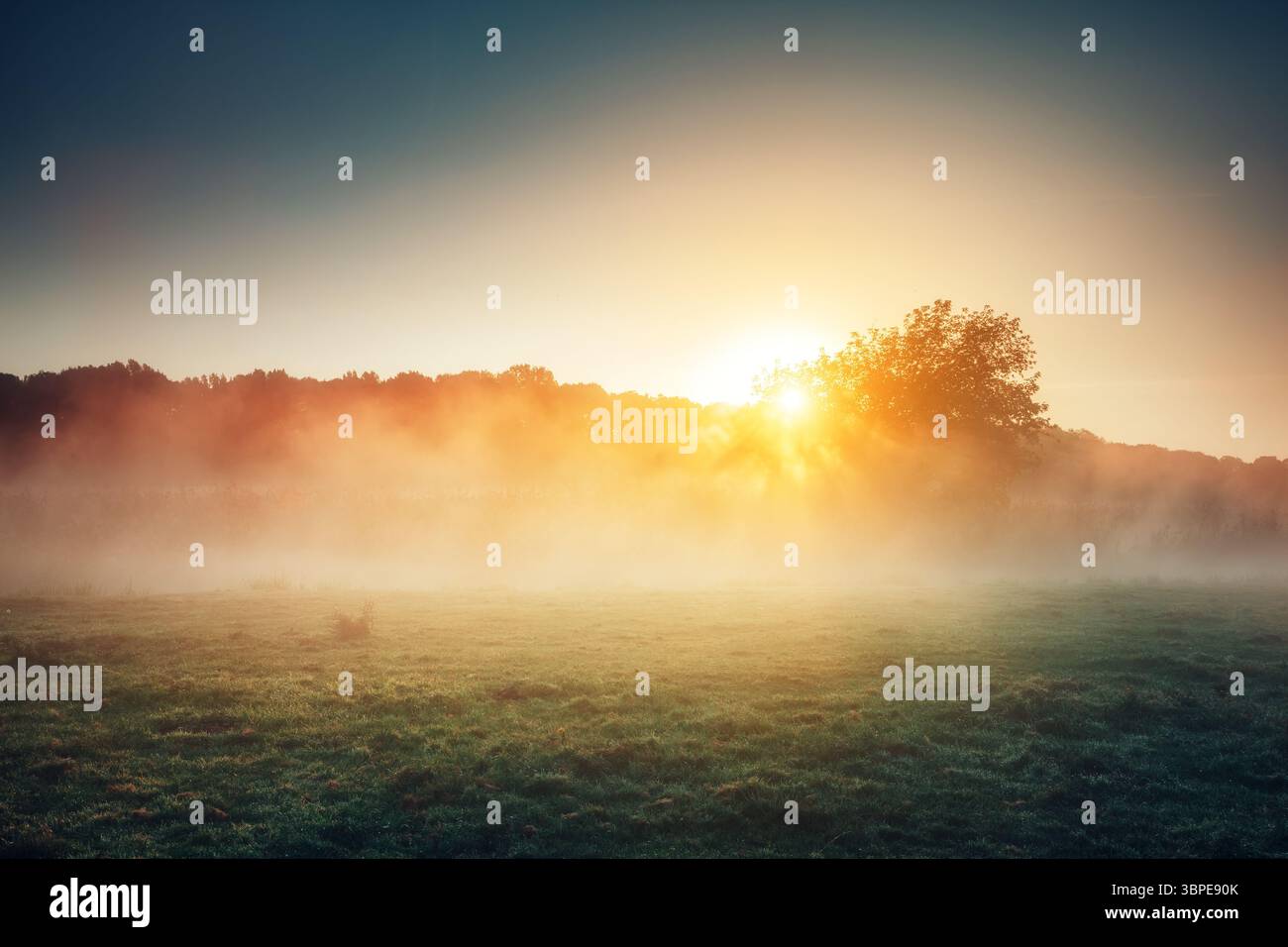 Fantastic foggy river with fresh green grass in the sunlight. Dramatic ...
