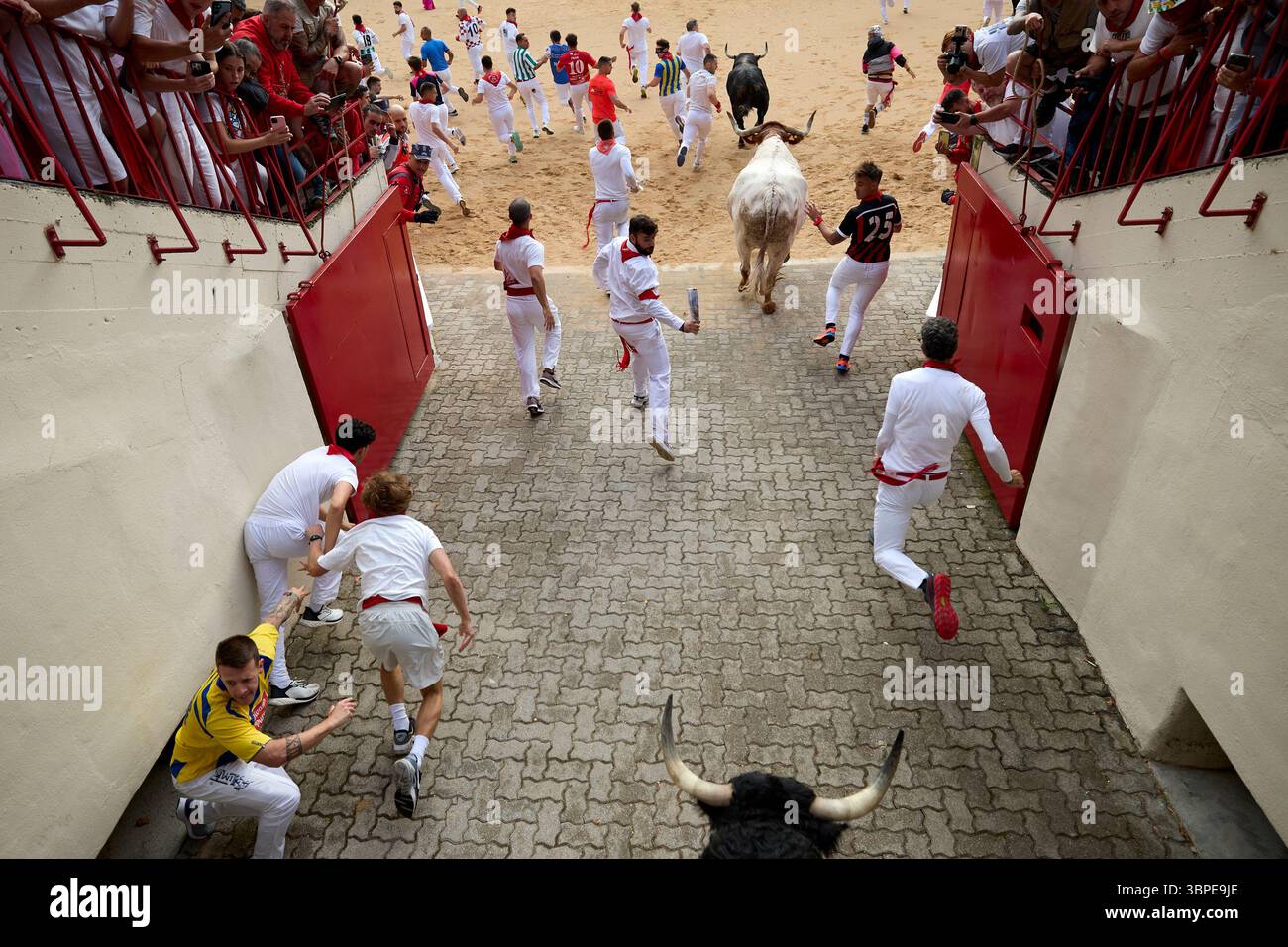 Bulls run through the streets during the San Fermin festival. The event ...