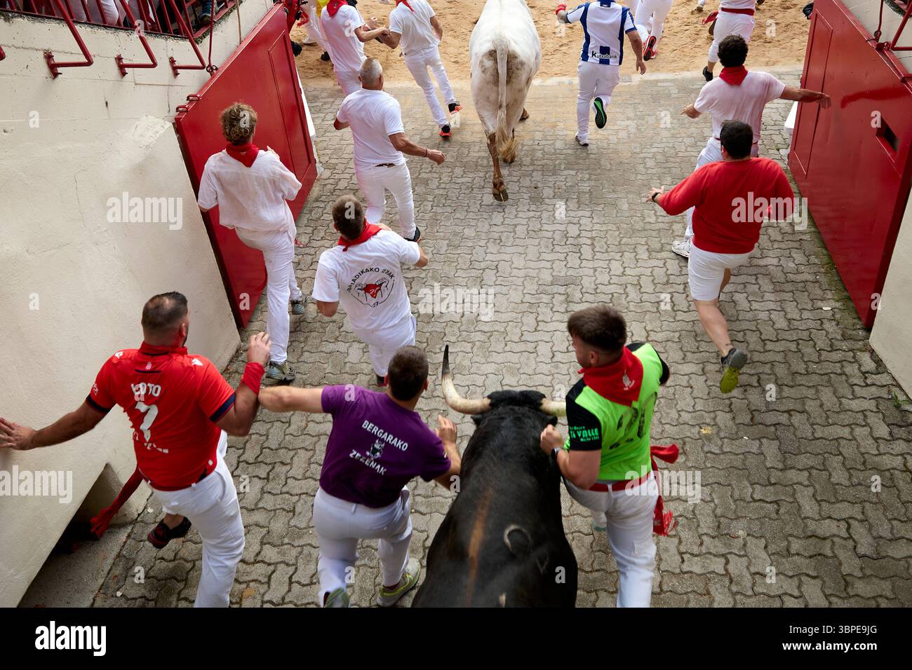 Bulls run through the streets during the San Fermin festival. The event ...