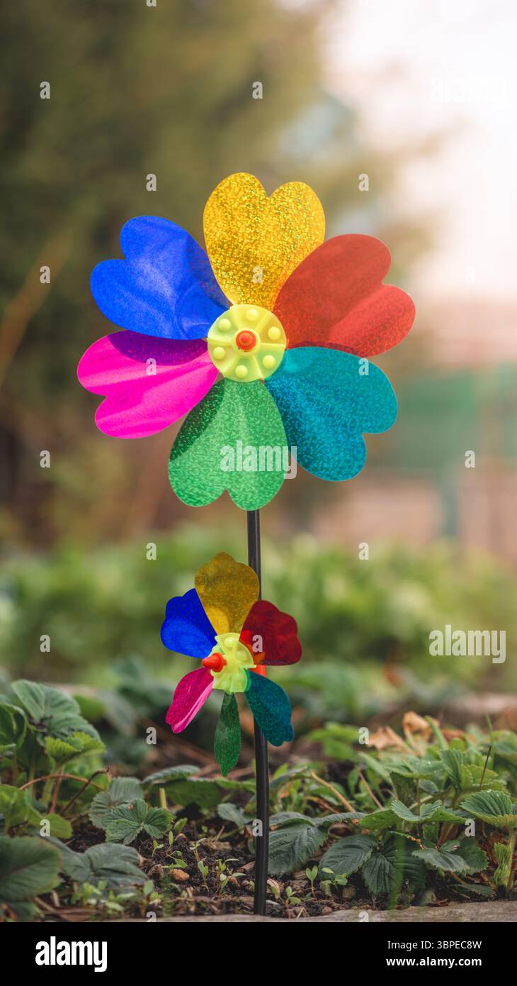 Petal filled breeze hi-res stock photography and images - Alamy