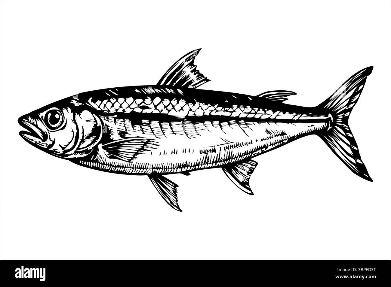 A detailed illustration of a fish, showcasing its scales, fins, and ...