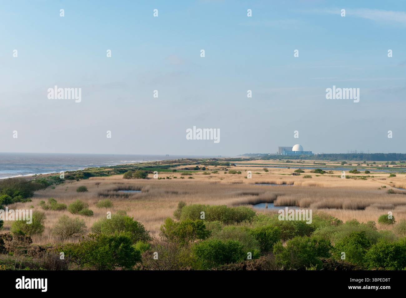Minsmere bird reserve with Sizewell B power station Stock Photo - Alamy