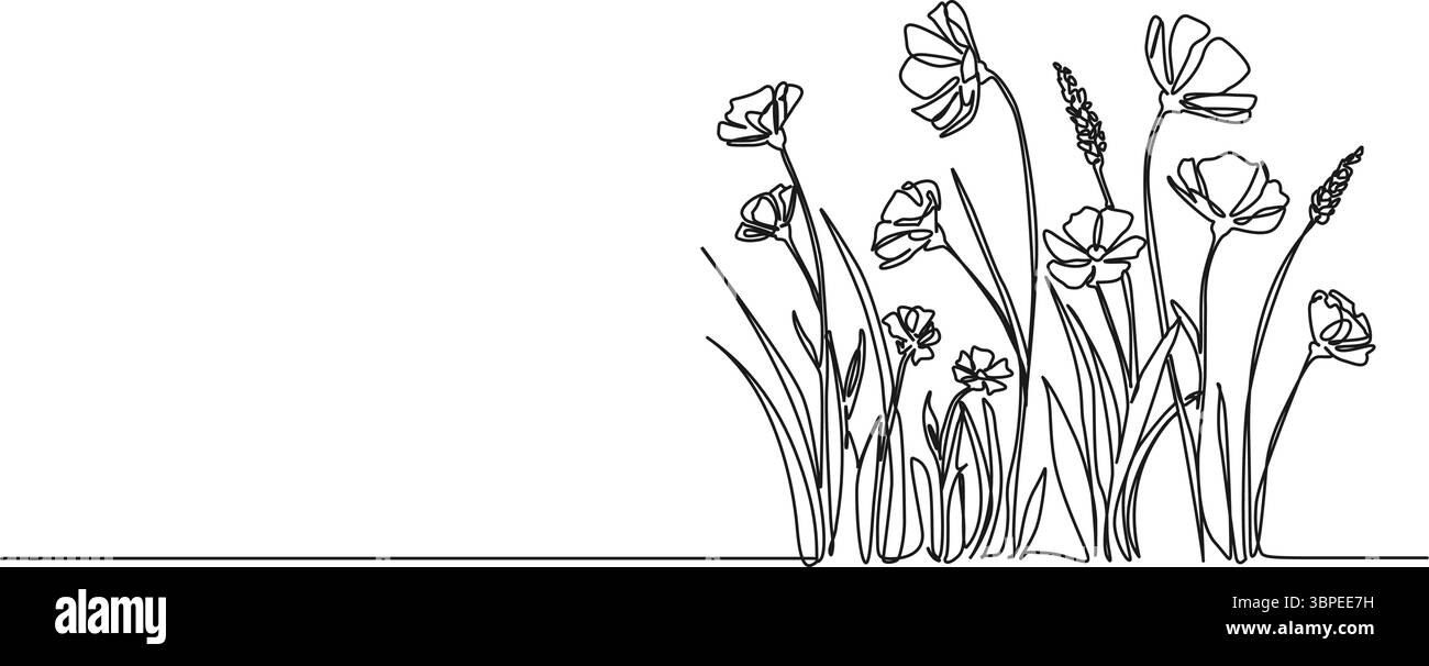 Single line wildflowers flower Stock Vector Images - Alamy