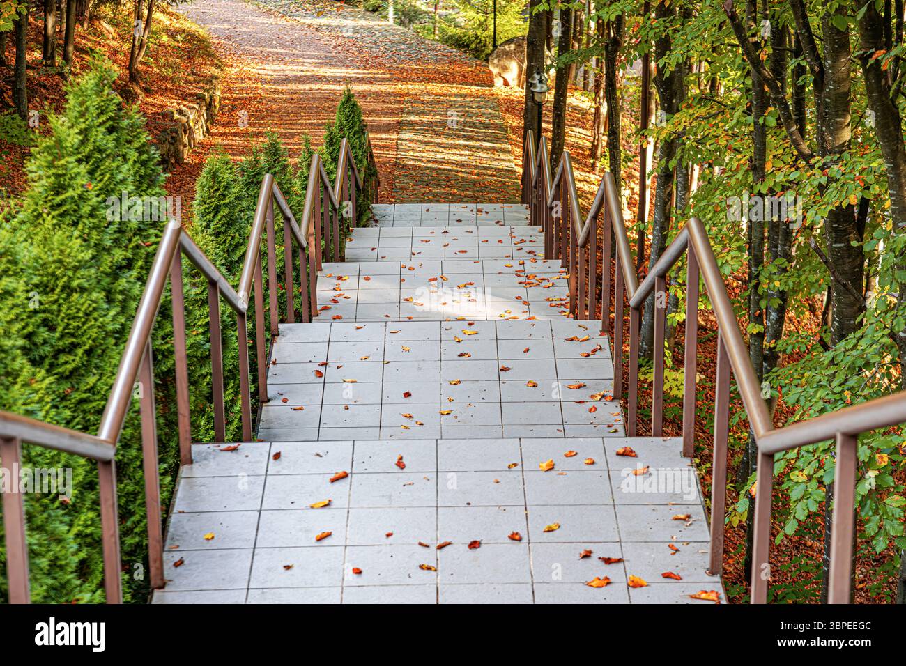 A long outdoor staircase, lined with green foliage and trees Stock ...