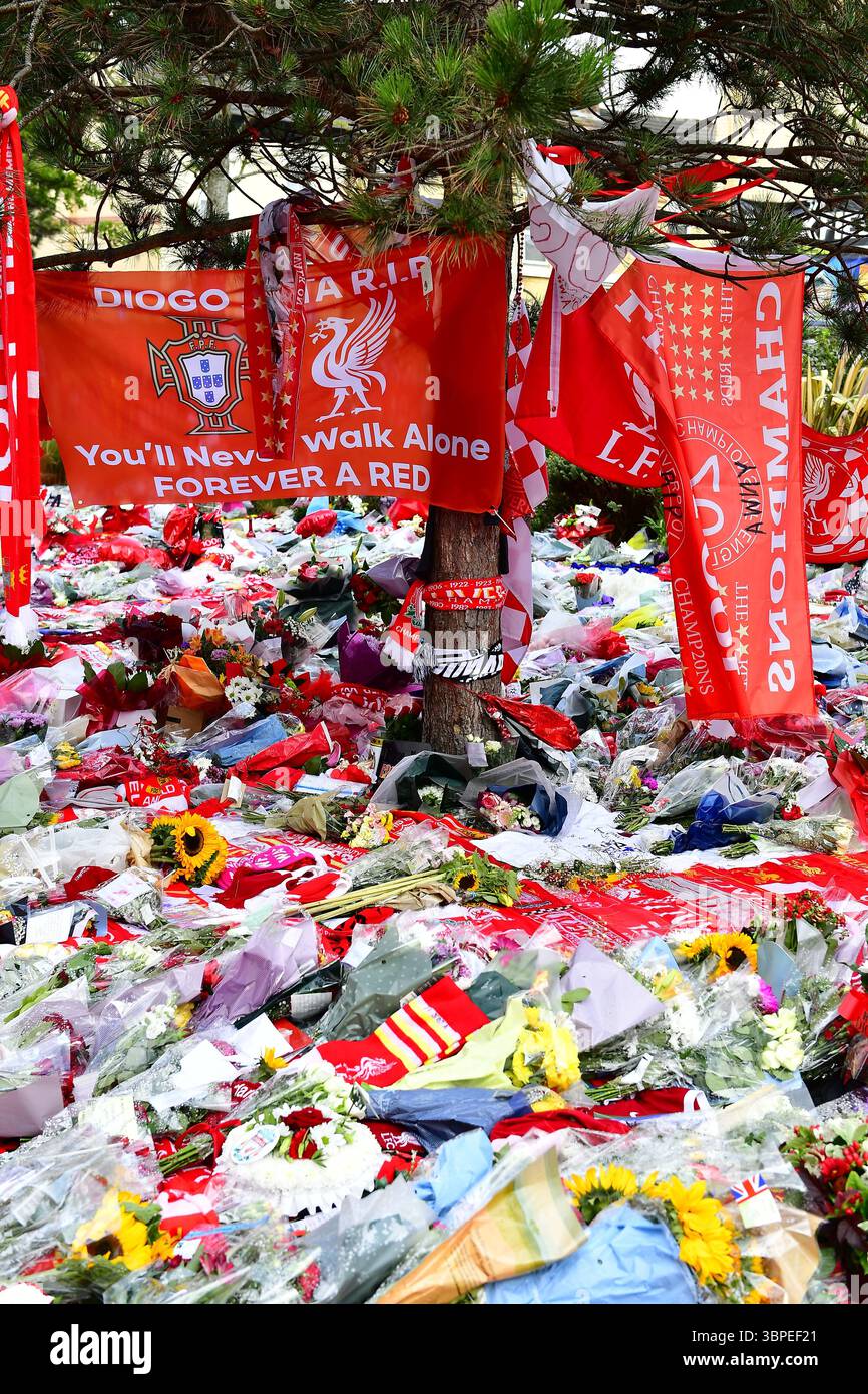 Floral tributes,scarves,balloons,messages of condolance etc are placed ...