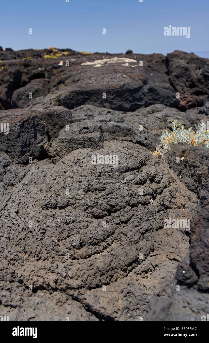 Close-up view of solidified pahoehoe lava flow with wrinkled surface ...