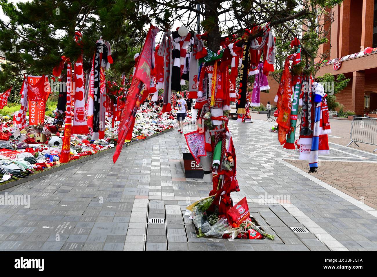 Floral tributes,scarves,balloons,messages of condolance etc are placed ...