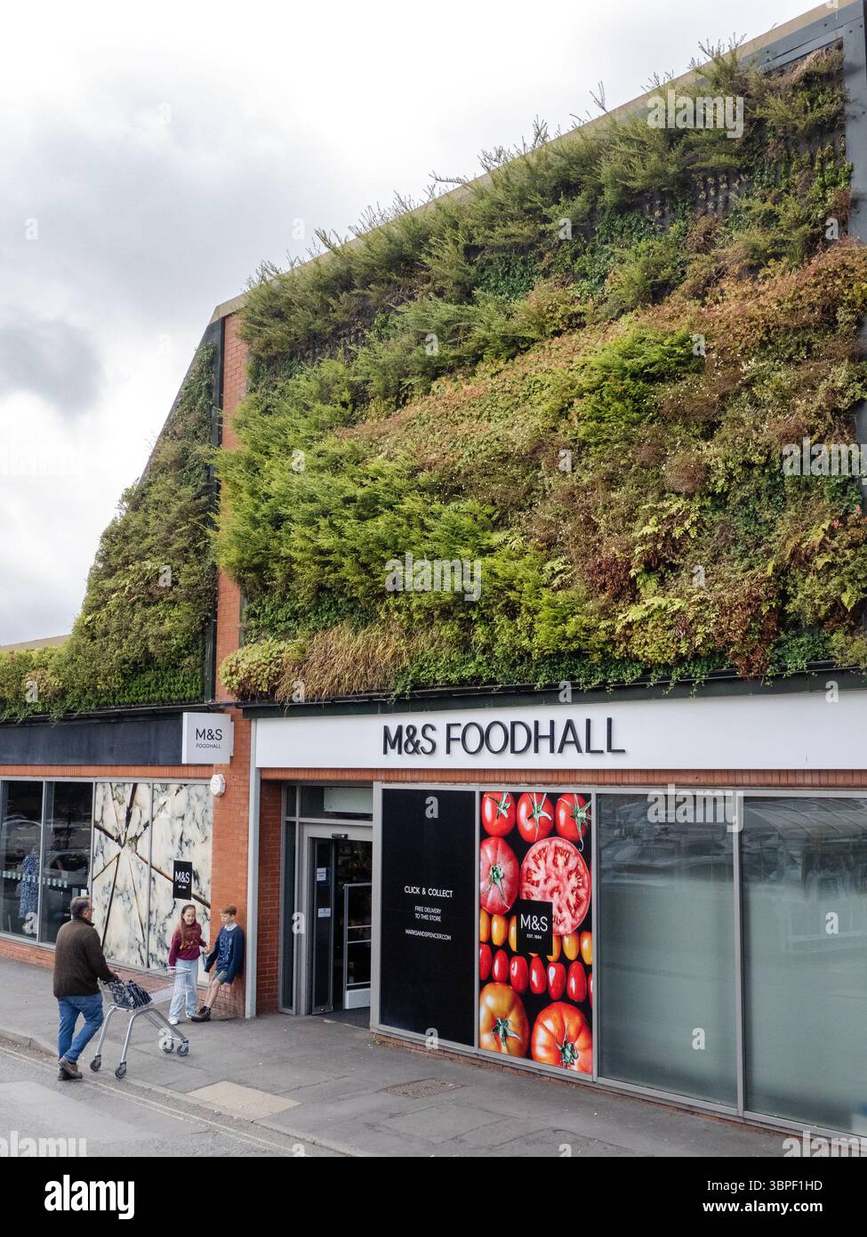 A green wall on an Marks and Spencer shop in Oswestry, Powys, Wales ...
