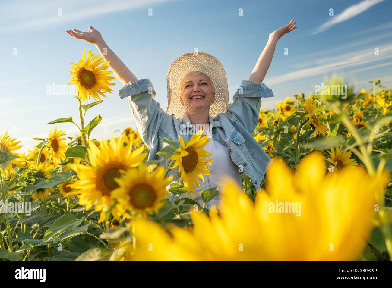 A Joyful Woman in a Field of Sunflowers is Celebrating the Natural ...