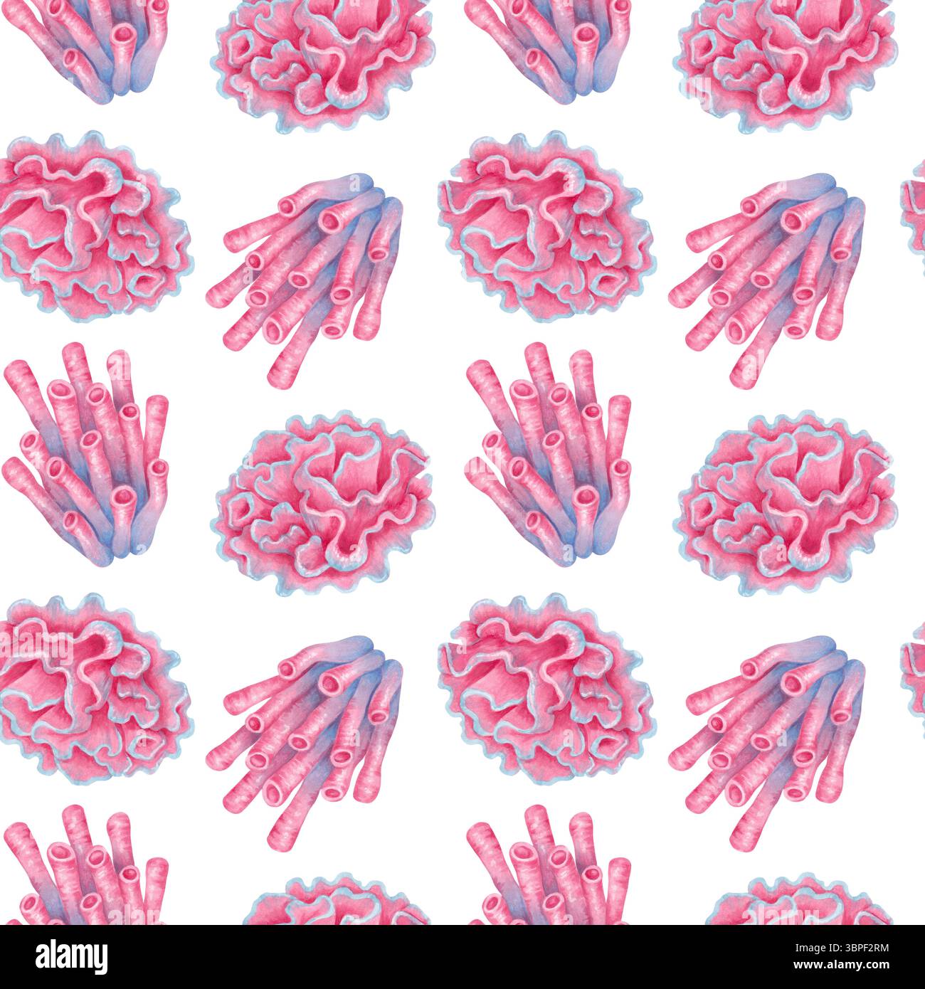 Seamless watercolor sea pattern with coral reef elements. Underwater ...