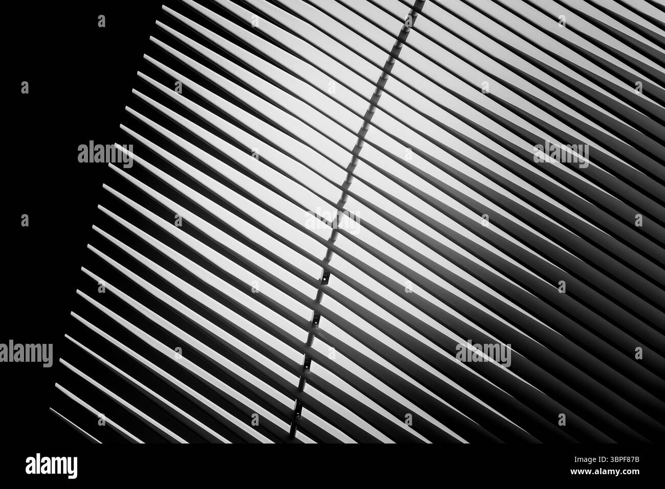 Calatrava oculus architecture Black and White Stock Photos & Images - Alamy