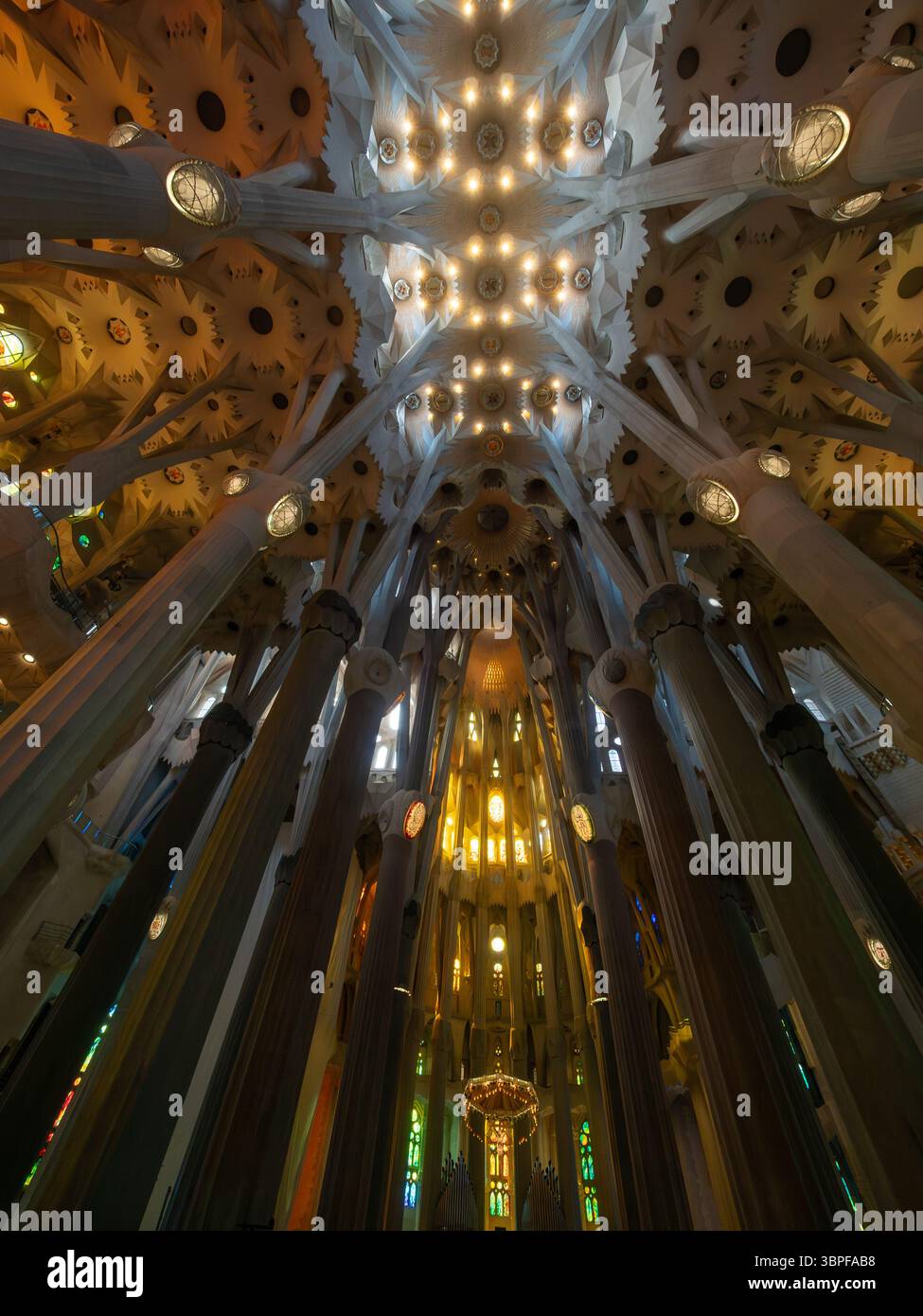 The stunning interior of La Sagrada Familia, with its forest of columns ...