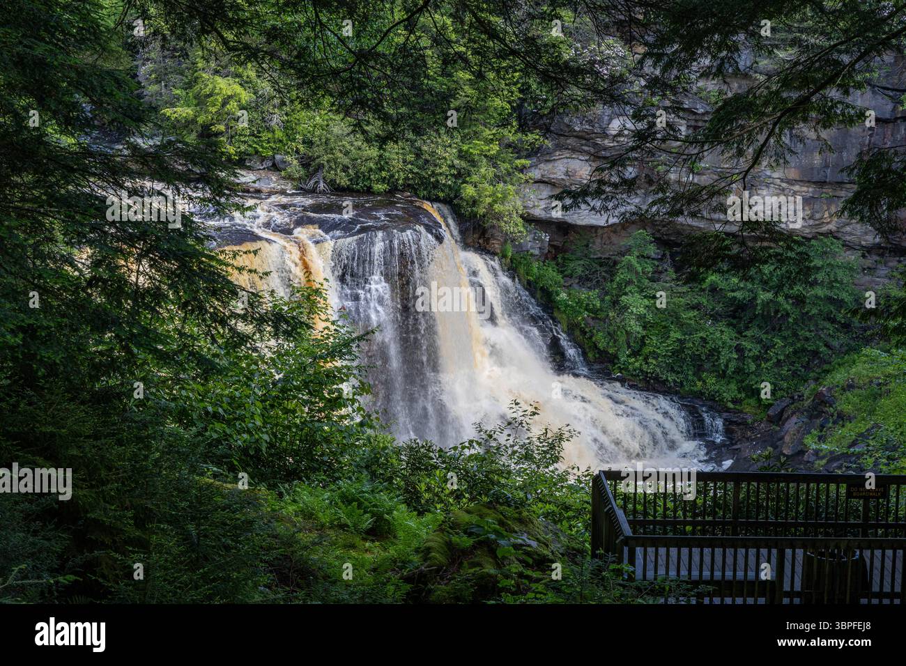 Photo of the Blackwater Falls State Park Davis West Virginia in the ...