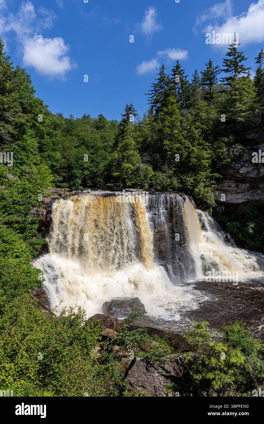 Photo of the Blackwater Falls State Park Davis West Virginia in the ...