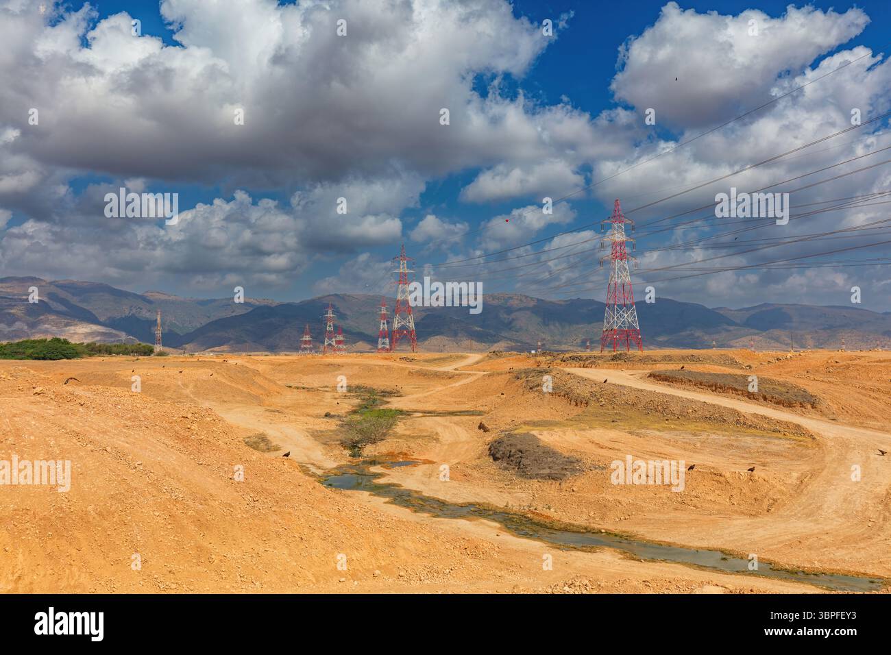 Landscape Oman, Raysut sewage treatment plant, tree, palm tree ...