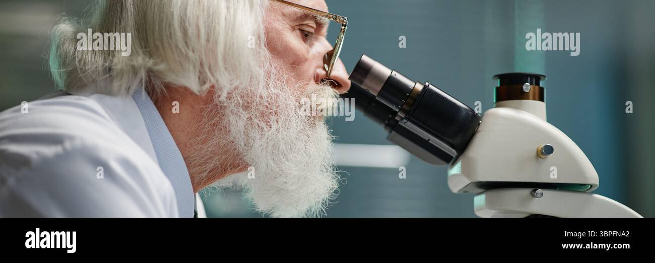 Website header shot of senior Caucasian man examining specimen using ...