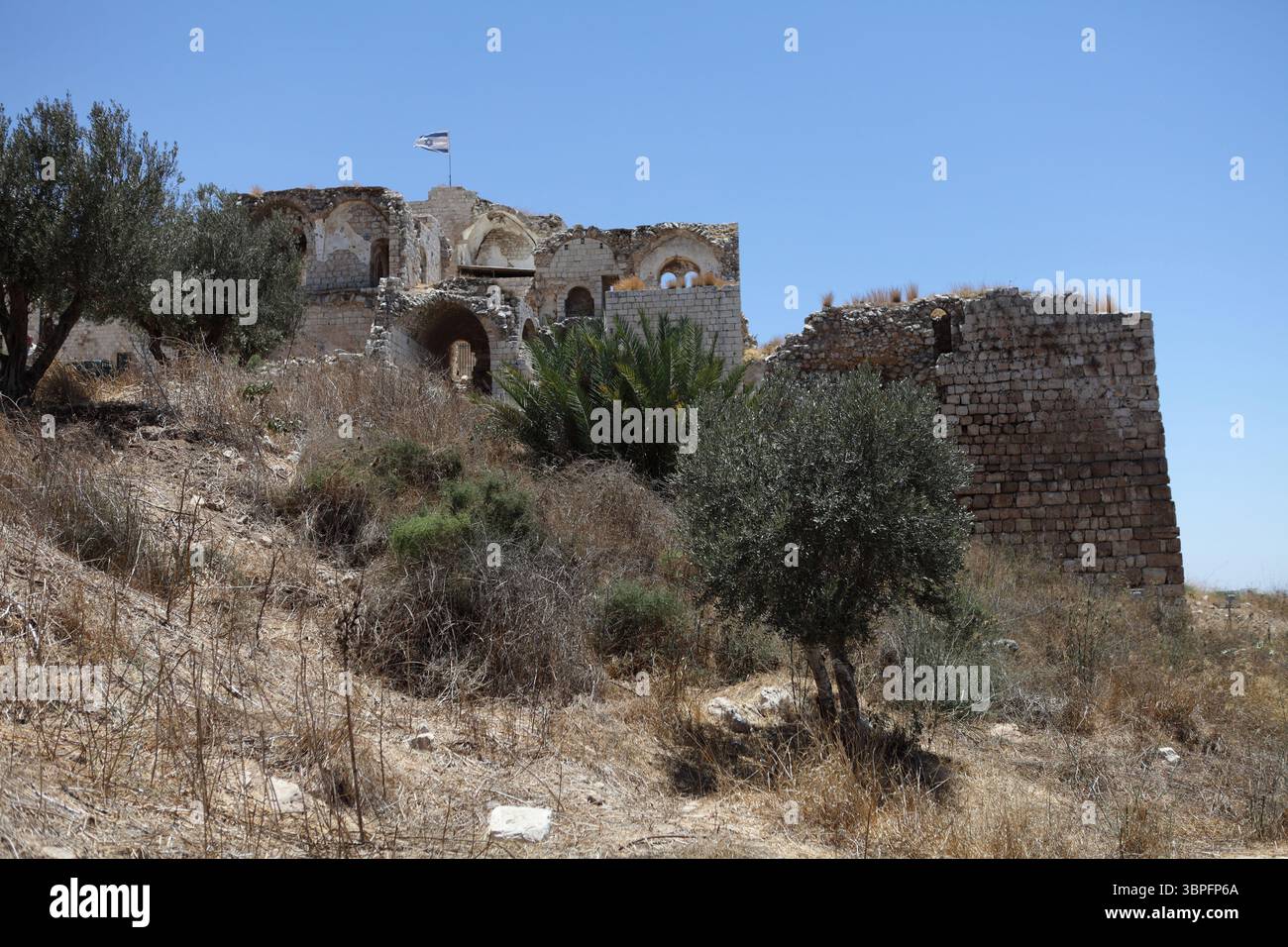 Migdal Tsedek, ruins of Mirabel a 12th century Crusaders fort built by ...