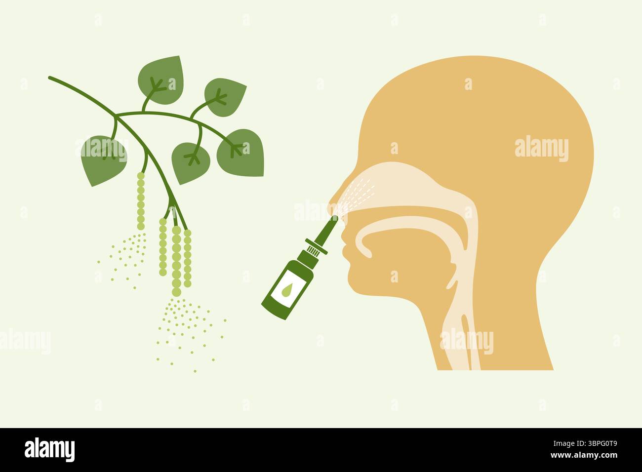 Pollen allergy treatment, nasal spray for symptoms caused by birch tree ...