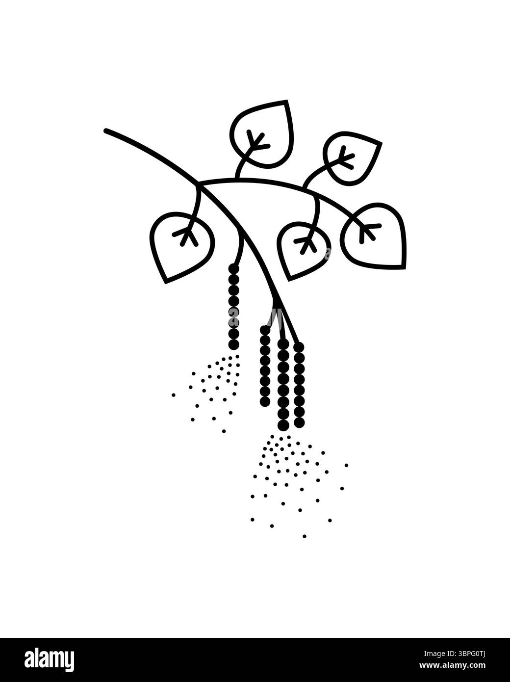 Pollen tree Black and White Stock Photos & Images - Alamy