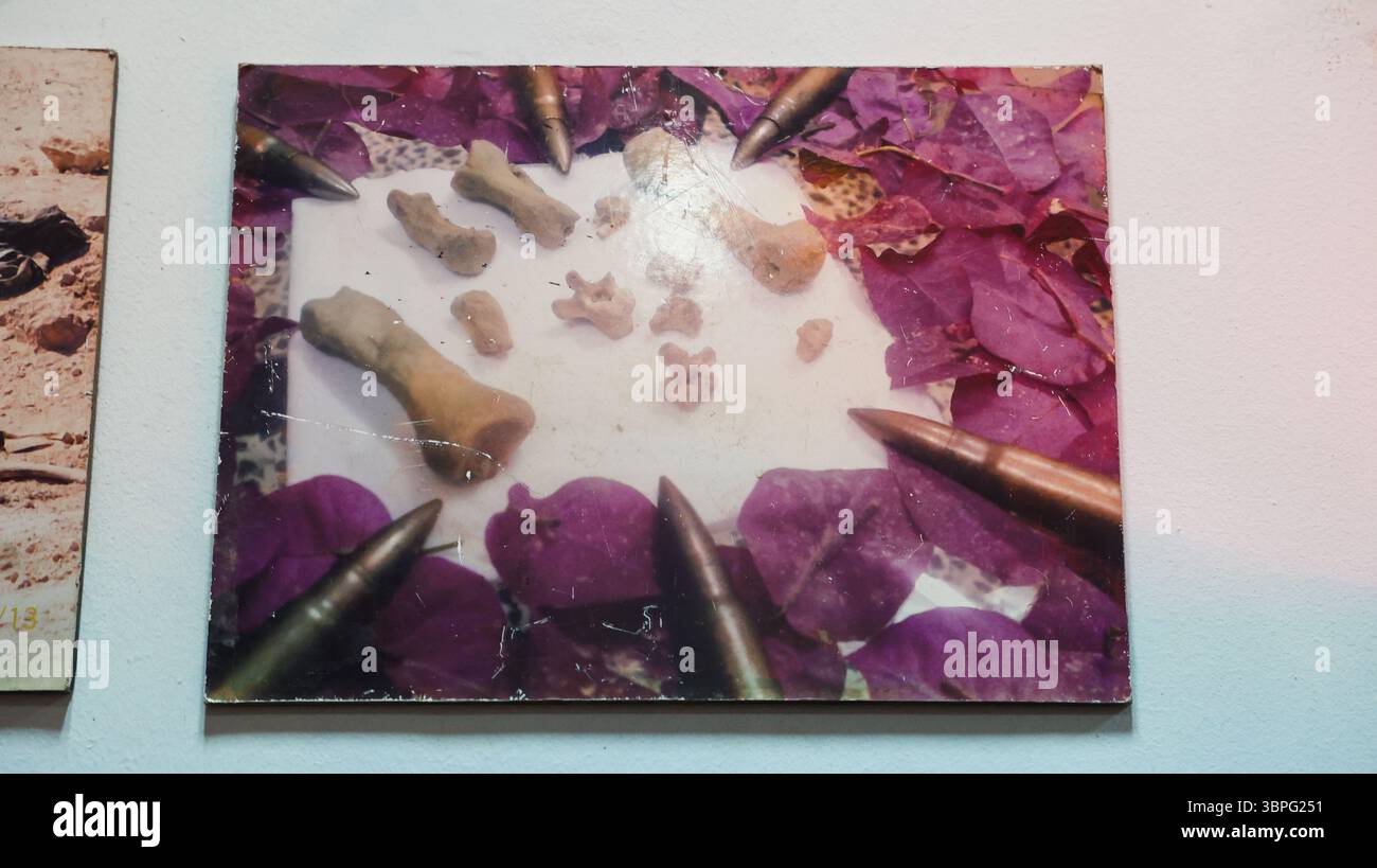 Artifacts placed on a bed of vibrant petals, creating a striking visual ...