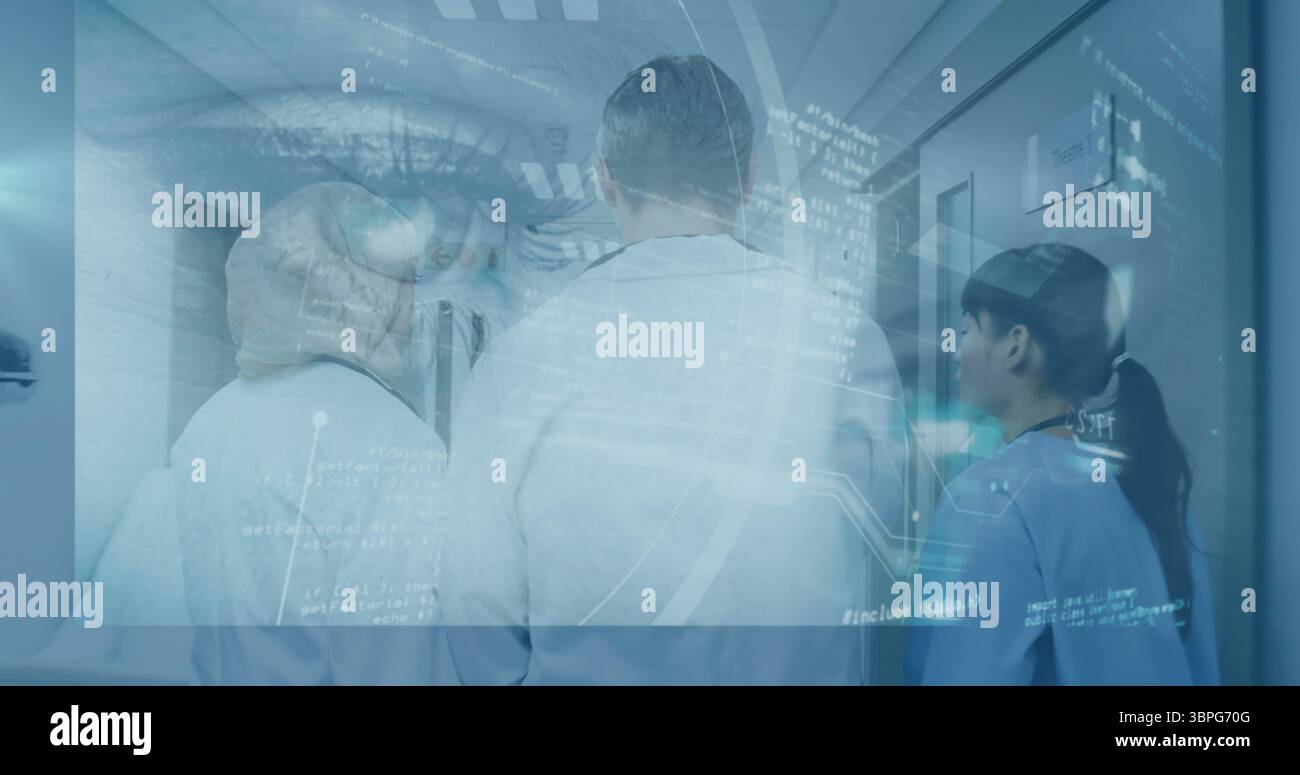 Collaborating data professionals in hi-res stock photography and images ...