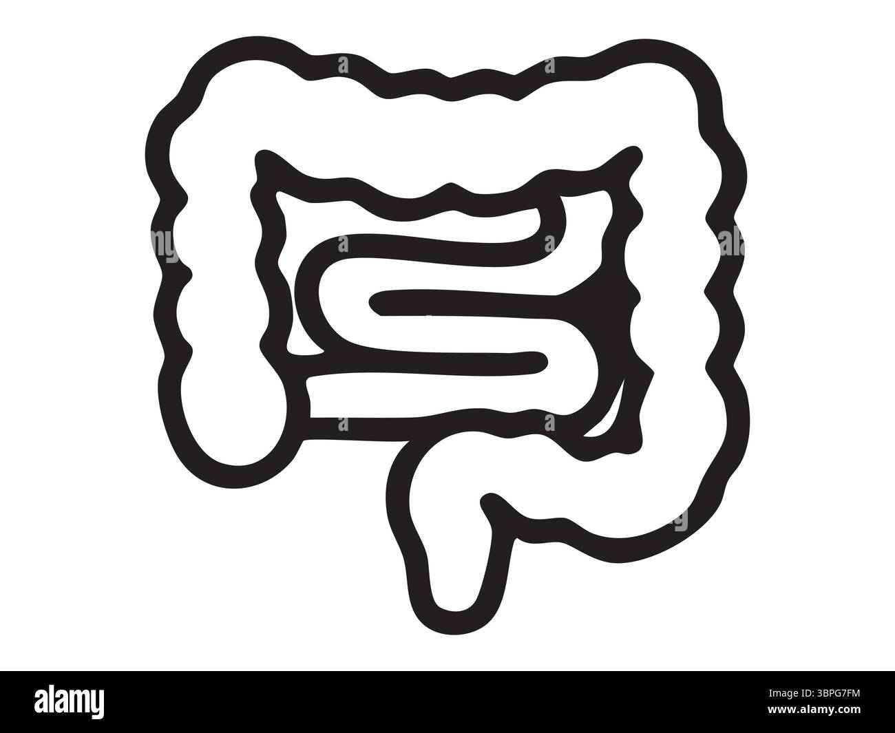 Black silhouette of human intestines in iconic style, graphic ...
