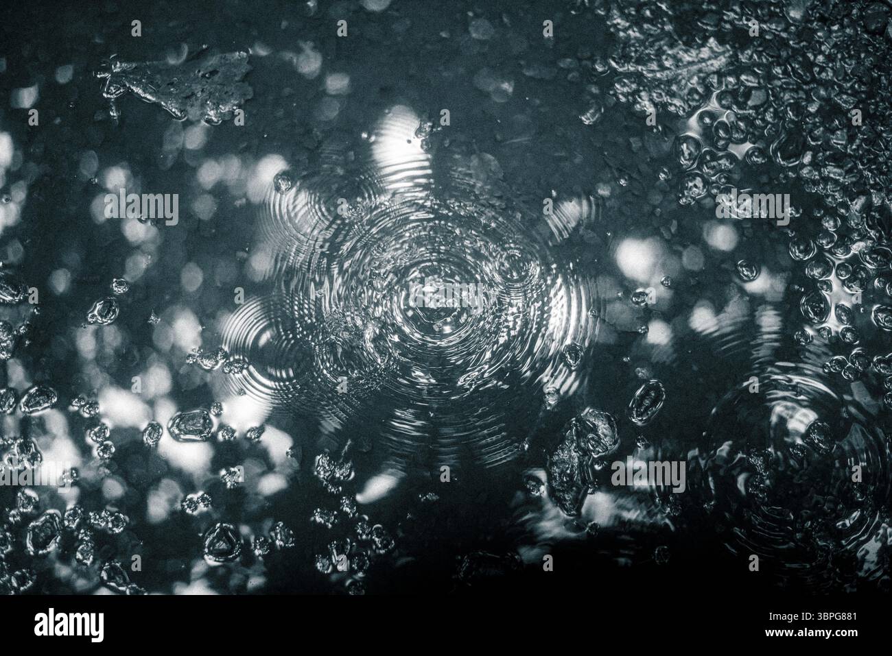 A single droplet distorts the world reflected in a puddle, rippling ...