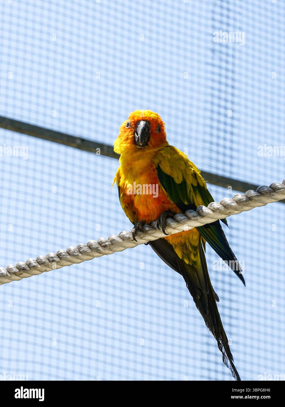 Radiant sun in sanctuary hi-res stock photography and images - Alamy