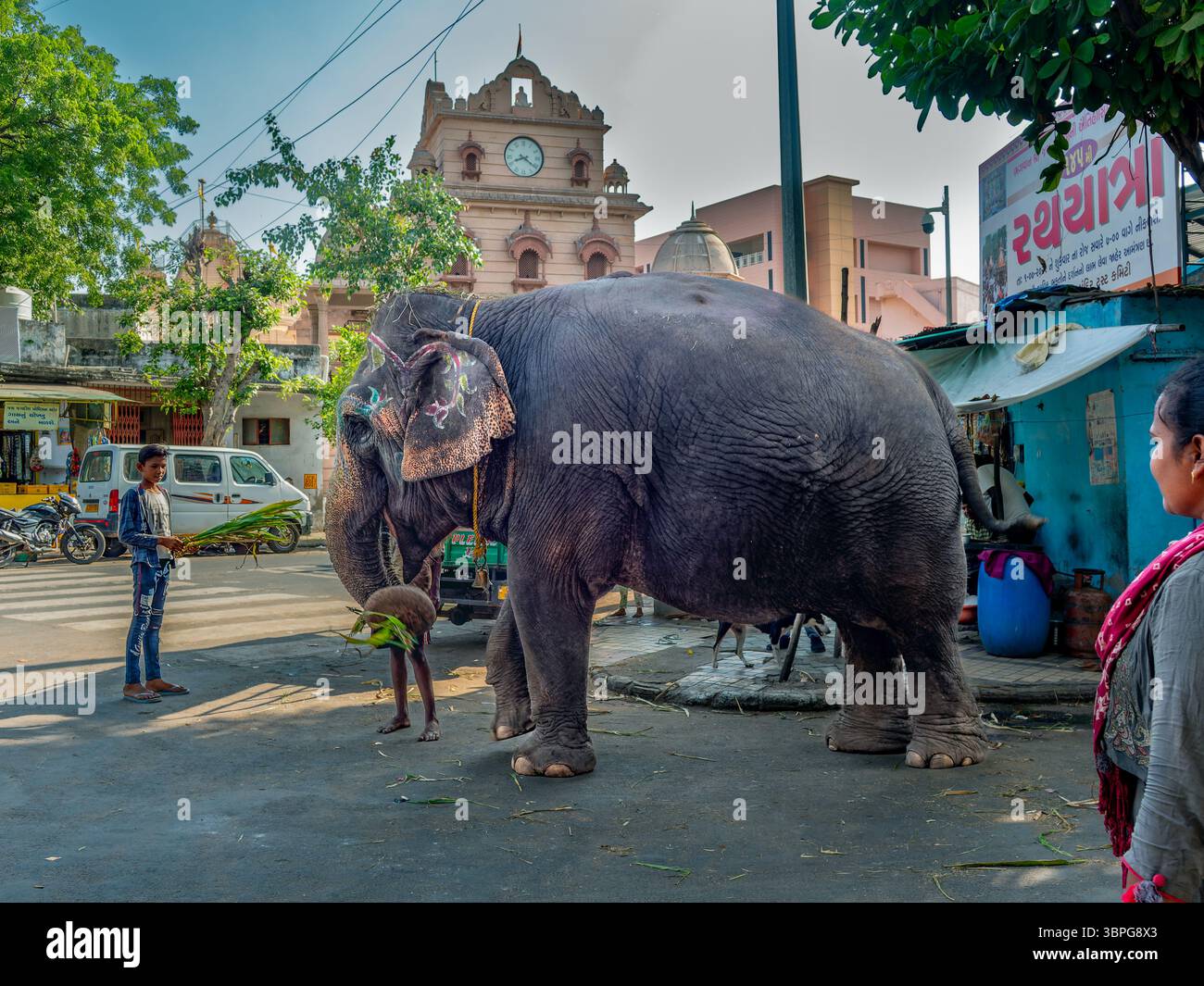 09 24 2022 Guj Raj Elephent at the Main Entrance Gate of Shree ...