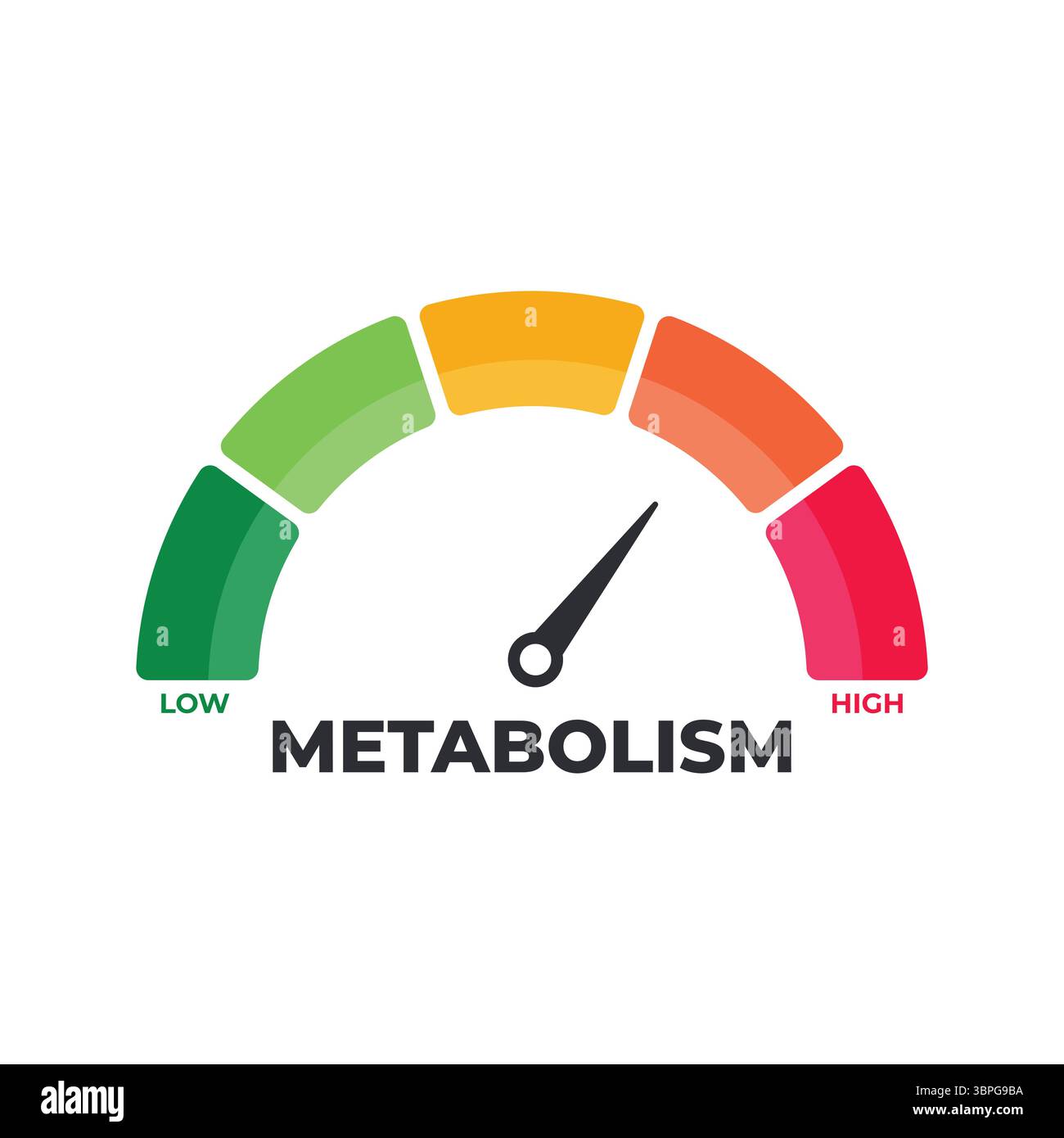 Metabolism level meter with color gauge and needle indicating health ...