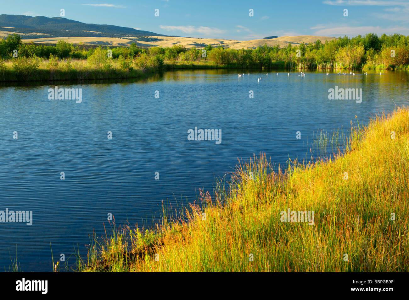 Silver bow creek montana hi-res stock photography and images - Alamy