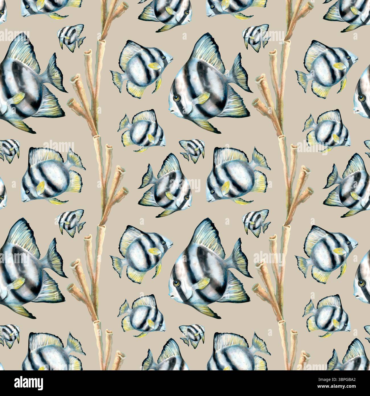 Snorkeling in black sea Cut Out Stock Images & Pictures - Alamy