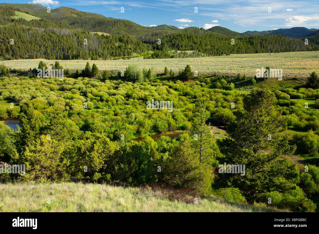 Boulder River valley, Beaverhead-Deerlodge National Forest, Montana ...