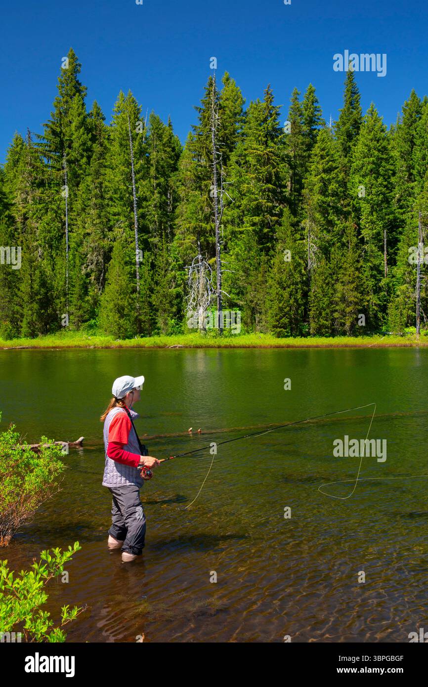Fly fishing at Robinson Lake, Willamette National Forest, Oregon Stock ...