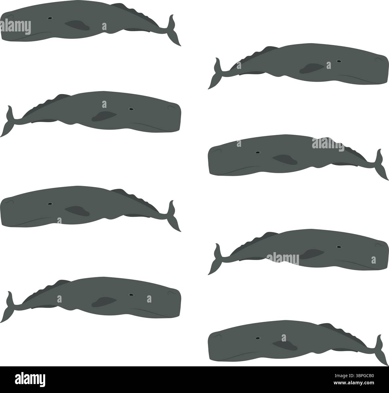 Vector seamless pattern of flat hand drawn sperm whale isolated on ...
