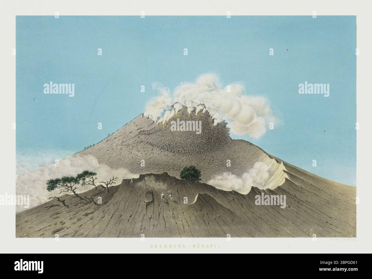 Lithograph from Java-Album (1854) by Franz Wilhelm Junghuhn depicting ...