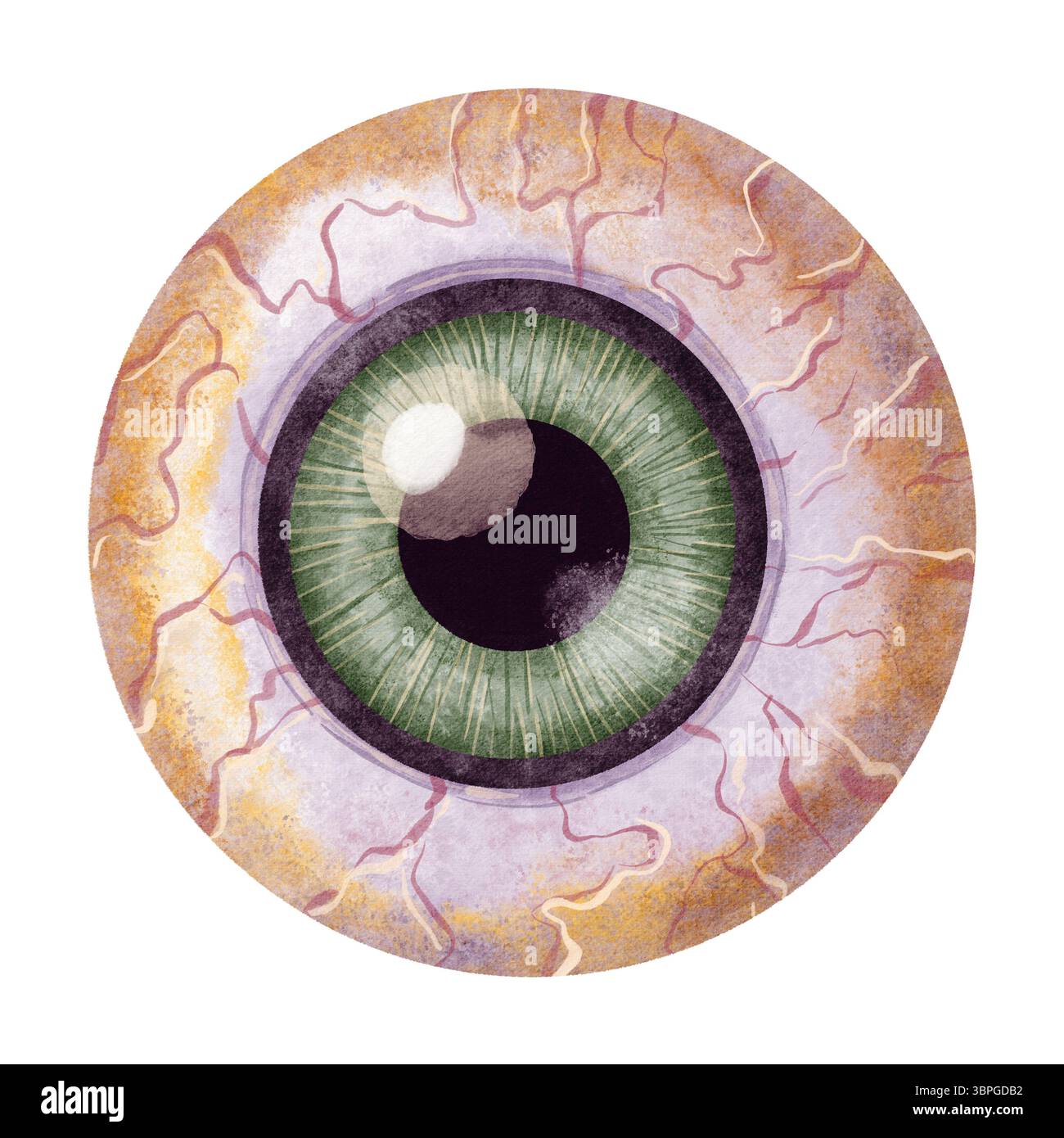 Eyeballart hi-res stock photography and images - Alamy