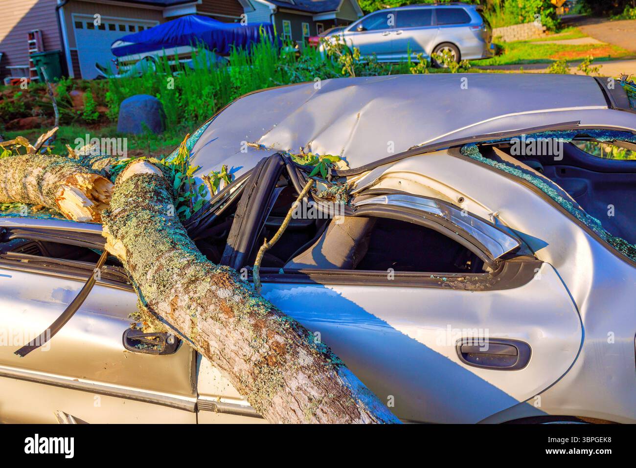 Large tree branch has fallen on parked car, causing significant damage ...