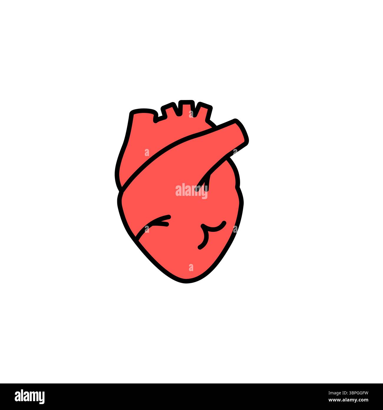 Heart anatomical design with simple lines showcases structure and ...