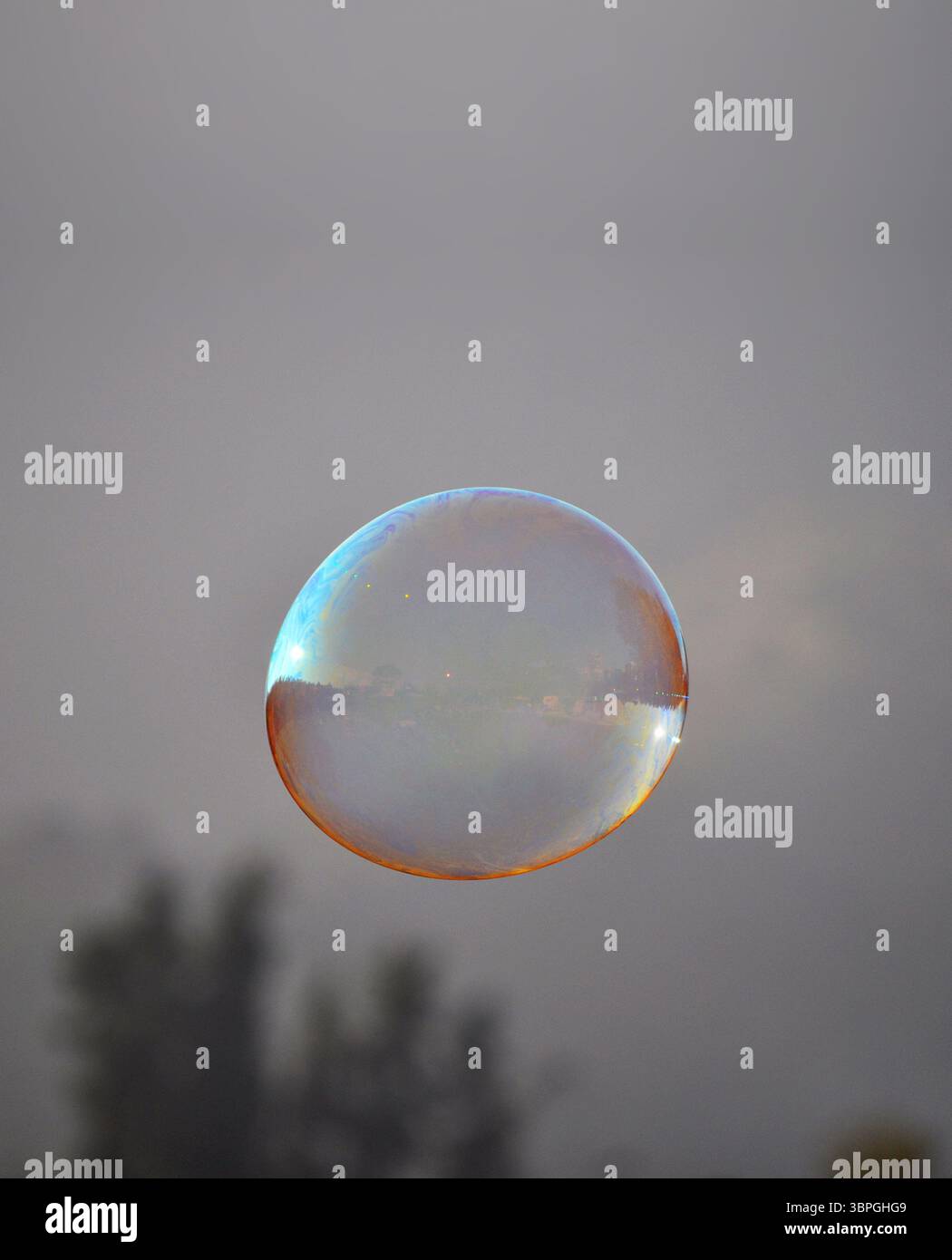 Soap bubble in the park hi-res stock photography and images - Alamy