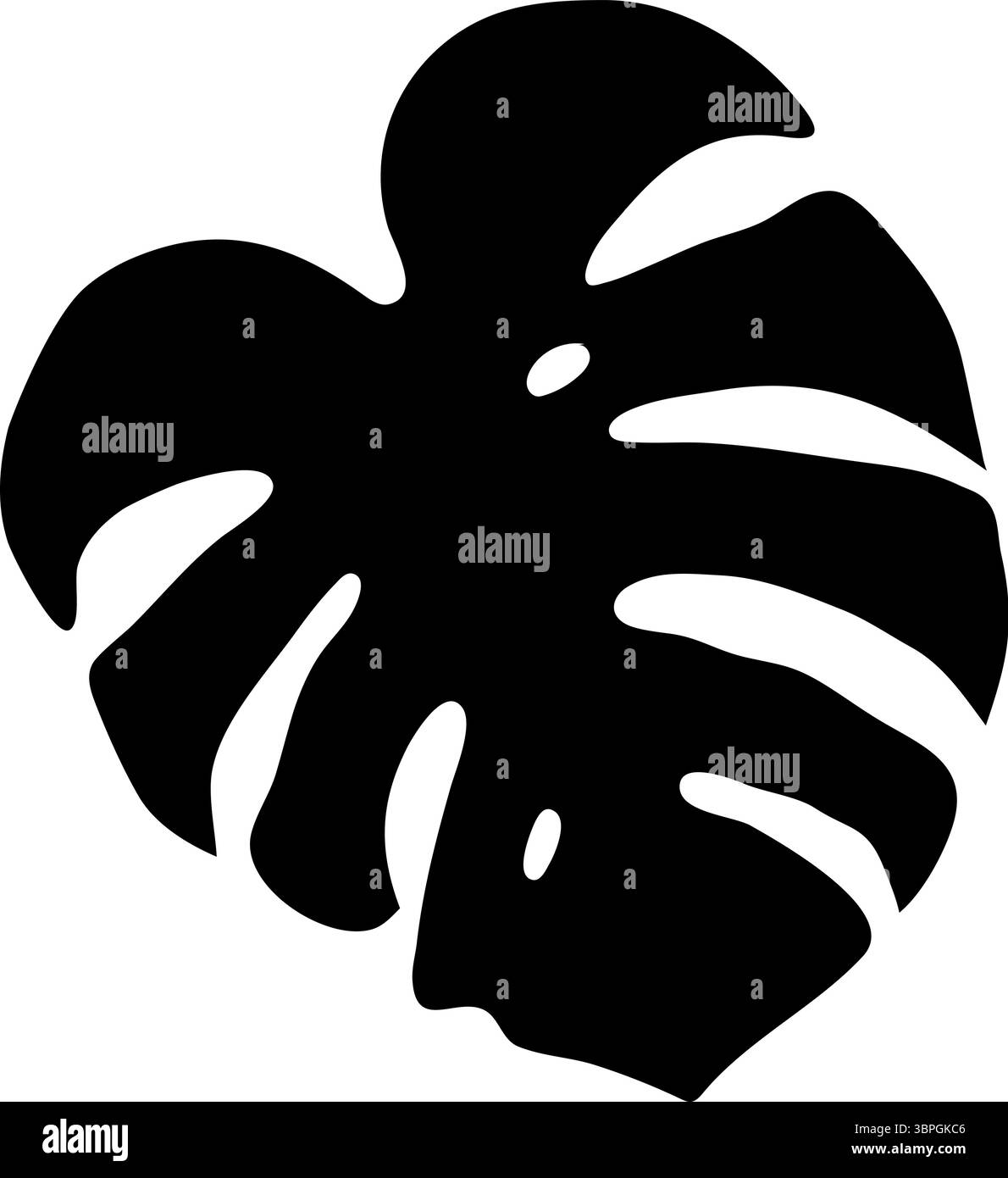 Vector essence black exotic silhouette of monstera deliciosa leaf ...