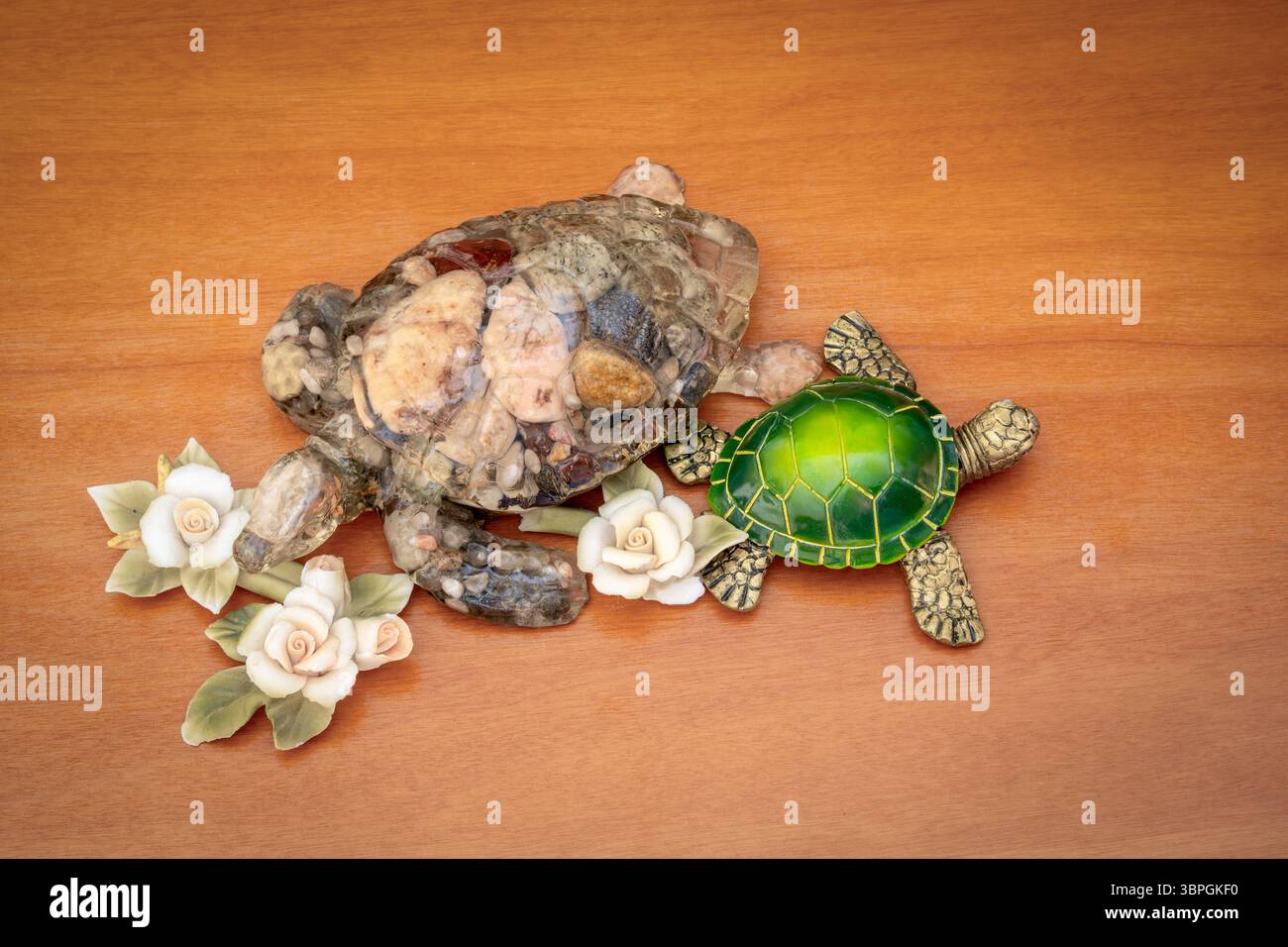 Whimsical turtles hi-res stock photography and images - Alamy