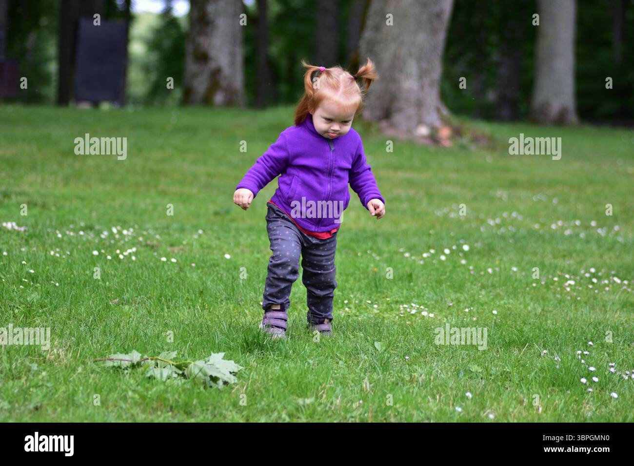 Red-haired toddler girl in purple jacket walking alone on green grass ...