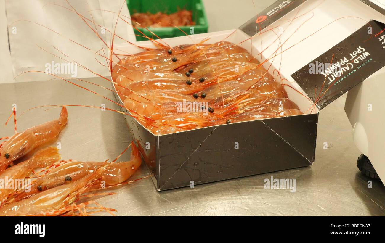 spot prawn processing in packaging plant Stock Photo - Alamy