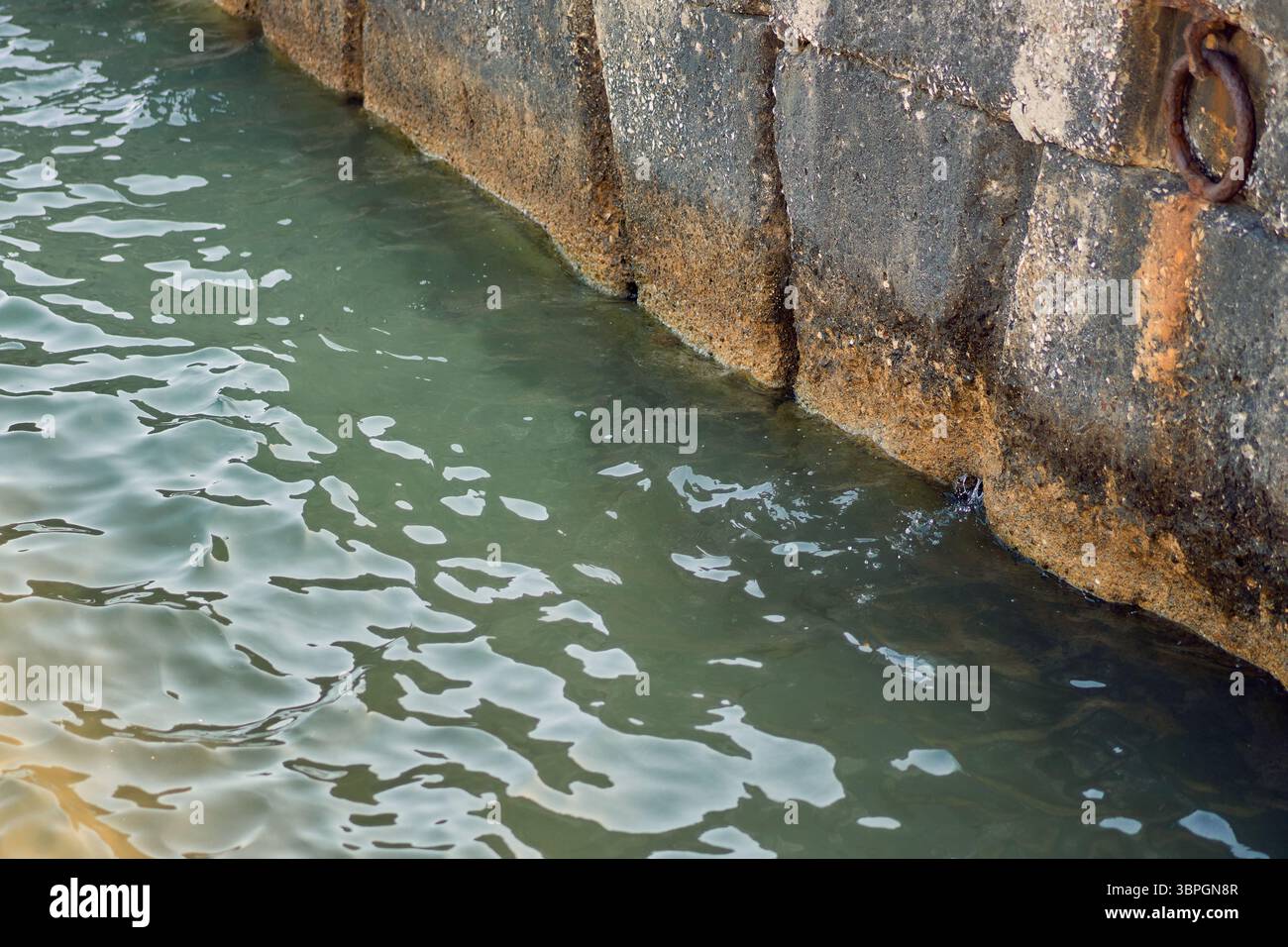Wet edge of a wharf hi-res stock photography and images - Alamy
