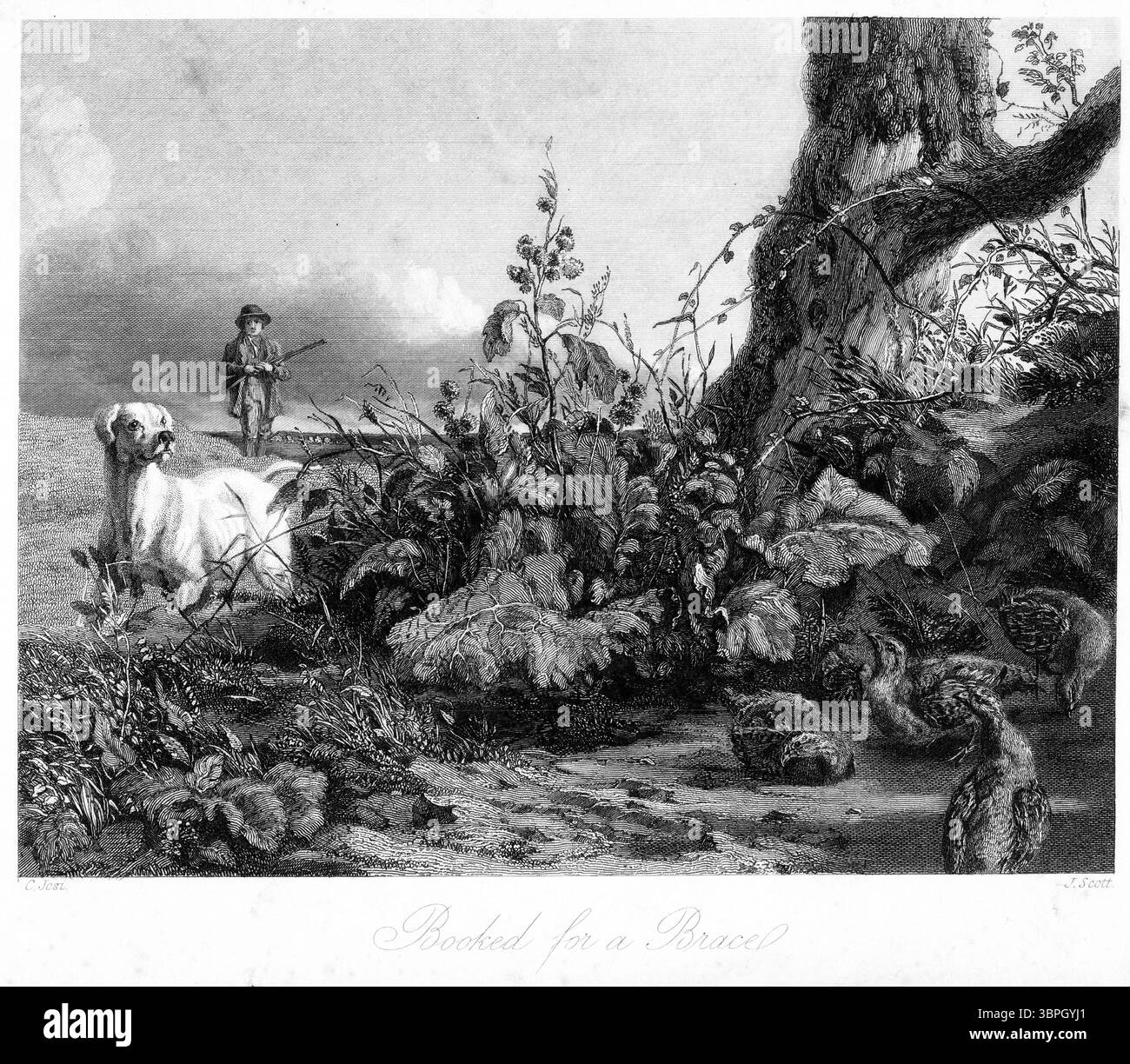 Engraving of English gentry on a pheasant hunt in the countryside ...